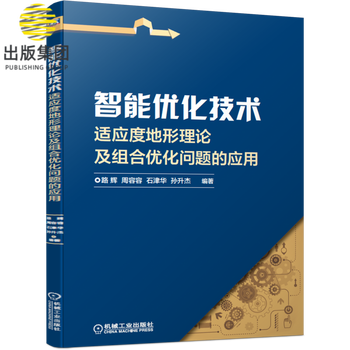 智能优化技术(适应度地形理论及组合优化问题的应用)