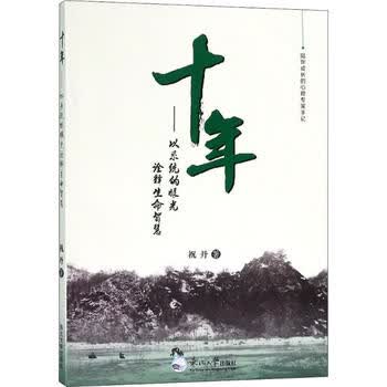 十年 祝丹  书籍