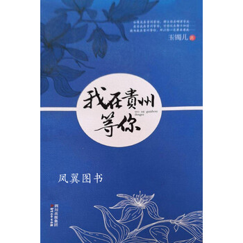 我在贵州等你 玉镯儿著 四川文艺出版社