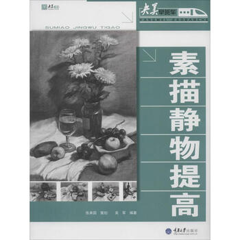 素描静物提高  作 吴军 编者 书籍