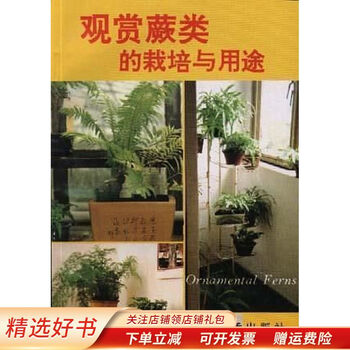 观赏蕨类的栽培与用途 邵莉楣