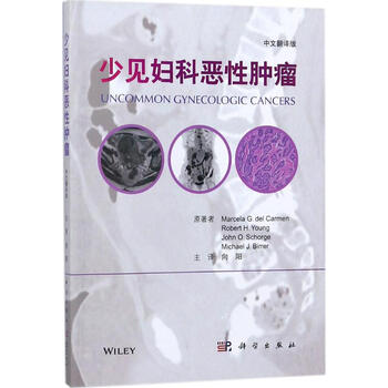 少见妇科恶性肿瘤 科学出版社 