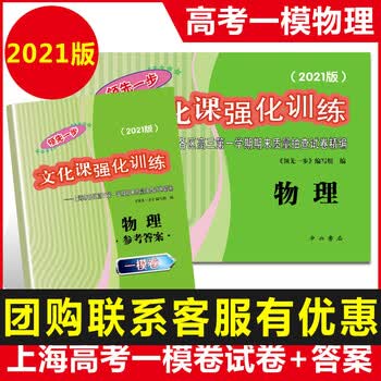 2021年版一步 物理上海高考物理一模卷 试卷+答案 文化课强化训练物理一模卷上海市各区高三期