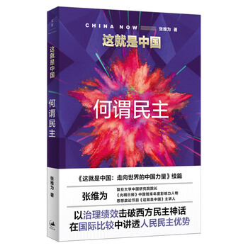 这就是中国：何谓民主
