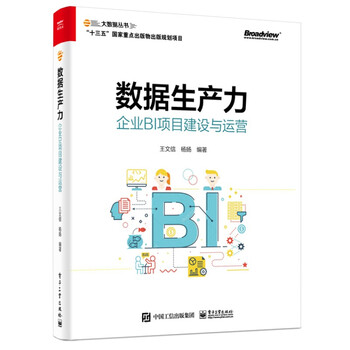 数据生产力：企业BI项目建设与运营