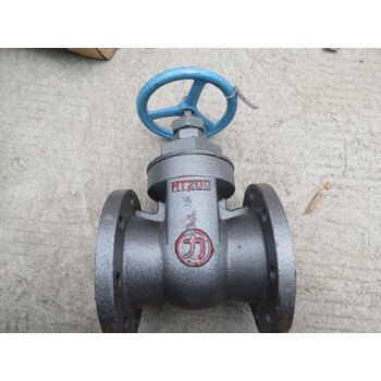 锐衍定制天津大站力牌力牌闸阀 Z45T-16L DN40-200 闸阀 阀门 16KG DN200铁杆【图片 价格 品牌 报价】-京东