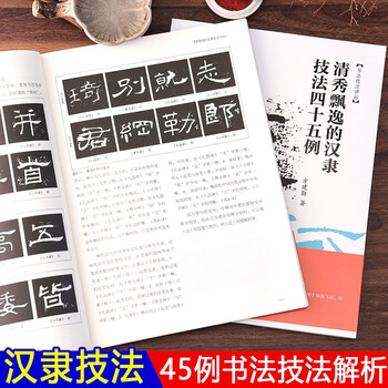 清秀飘逸的汉隶技法四十五例 书法技法讲坛 汉隶隶书书法名碑帖笔画部首结构原帖对照解析 安徽美术出版社
