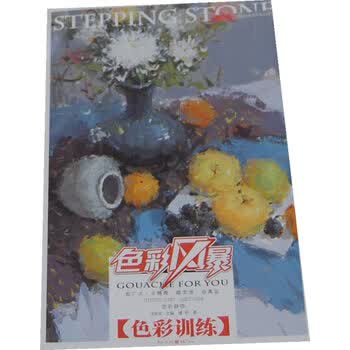 色彩风暴 色彩训练【正版图书】