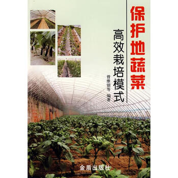 保护地蔬菜高效栽培模式 曾维银  等编  书籍