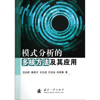 模式分析的多核方法及其应用