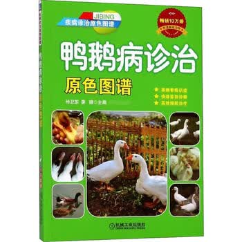 鸭鹅病诊治原色图谱 孙卫东,李银 主编 书籍