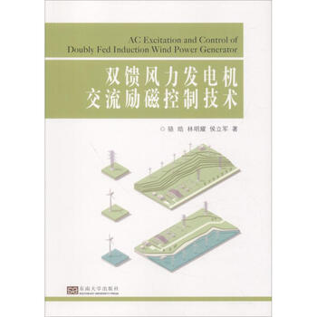 双馈风力发电机交流励磁控制技术