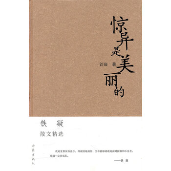 惊异是美丽的 铁凝