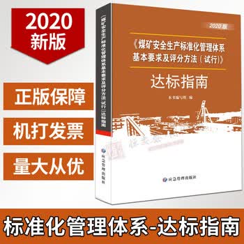 现货【2020新版】煤矿安全生产标准化管理体系基本要求及评分方法（试行）达标指南 应急管理出版社
