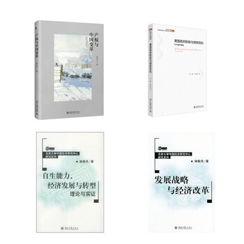 北京大学中国经济研究中心研究系列 套装共4册