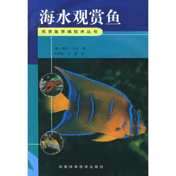 海水观赏鱼