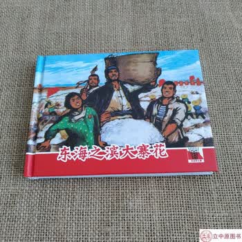 农业学大寨连环画 东海之滨大寨花 连环画小人书 50开小精装
