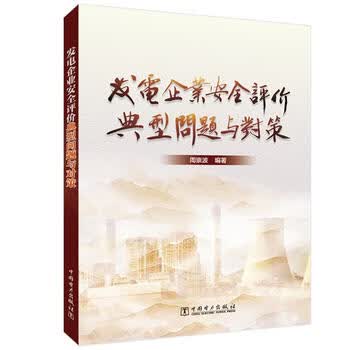 发电企业安全评价典型问题与对策 周崇波  书籍