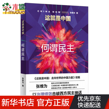 这就是中国：何谓民主