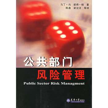 公共部门风险管理