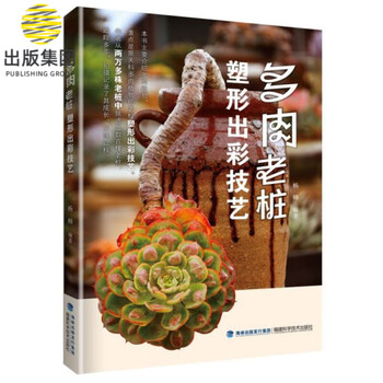 多肉老桩塑形出彩技艺