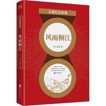 风雨桐江 图书