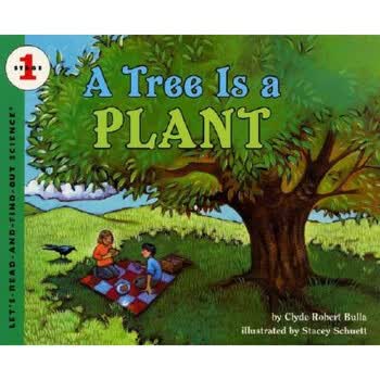 【中图原版】Tree Is a Plant, A