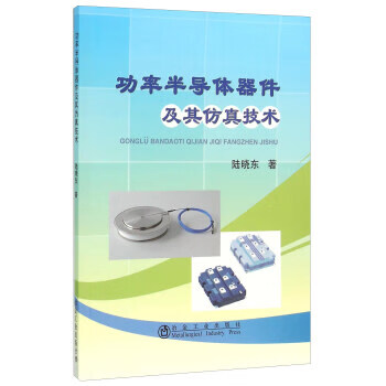 功率半导体器件及其仿真技术 陆晓东 9787502471279 冶金工业出版社