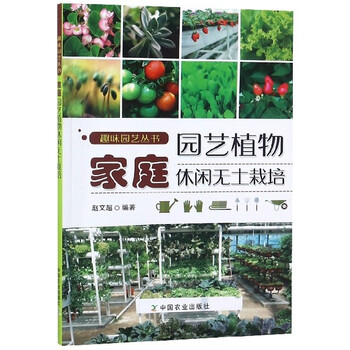 家庭园艺植物休闲无土栽培/趣味园艺丛书