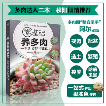 零基础养多肉 300余张多肉美图学养多肉 多肉达人推荐多肉圈的整容圣手 花园花艺盆栽庭院家庭养花花卉养殖种植大全