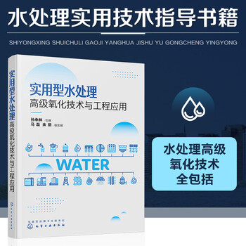 实用型水处理高级氧化技术与工程应用