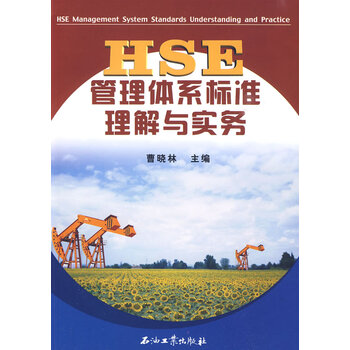 HSE管理体系标准理解与实务【正版图书，售后无忧】