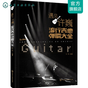 遇见许巍：流行吉他弹唱大全