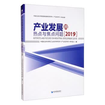 产业发展的热点与焦点问题（2019）