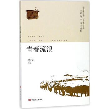 青春流浪