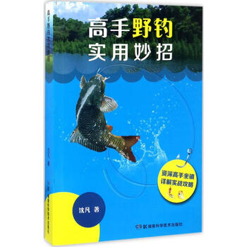 高手野钓实用妙招 沈凡  书籍