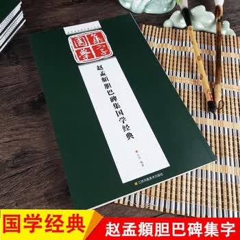 赵孟頫胆巴碑集国学经典 经典碑帖集字系列 初学赵体楷书毛笔书法临摹成语佳句练字帖 江苏凤凰美术出版社