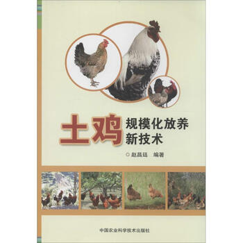 土鸡规模化放养新技术