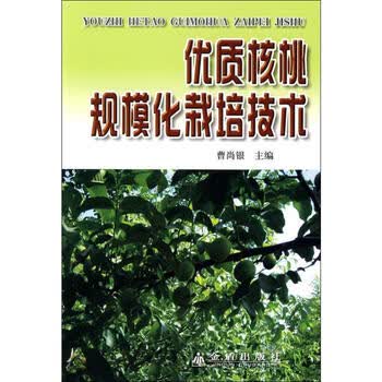 优质核桃规模化栽培技术 曹尚银  编 书籍
