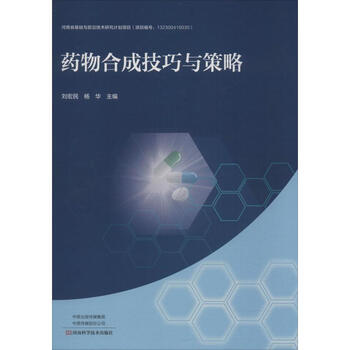药物合成技巧与策略 刘宏民,杨华 编 书籍