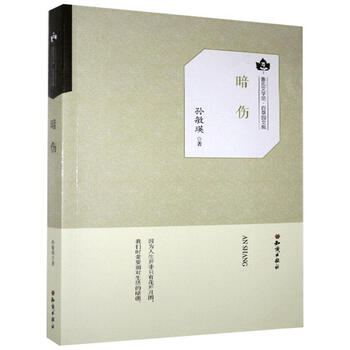 暗伤孙敏瑛字典词典/工具书9787501594917