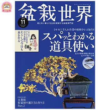 订阅 盆栽世界 盆栽景观杂志 日本日文原版 年订12期