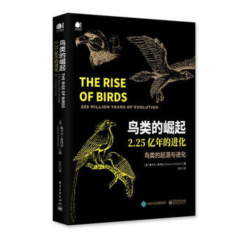 包邮：鸟类的崛起科普读物  图书