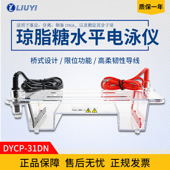 【六一牌DYCP-31DN】六一牌（LY）DYCP-31DN水平核酸电泳槽实验室琼脂糖水平电泳仪（注）【行情 报价 价格 评测】-京东