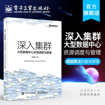 官方正版 深入集群 大型数据中心资源调度与管理 李雨前 著 调度算法的基本原理 集群任务与集群资源