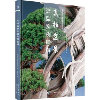 真柏盆景造型实例图解