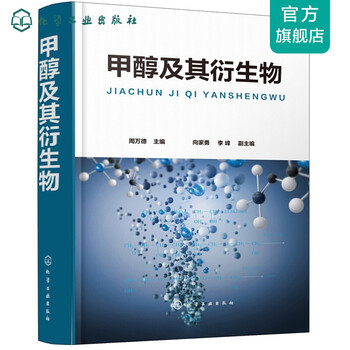 甲醇及其衍生物