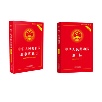 2021新版中华人民共和国刑法+刑事诉讼法 实用版（2本套）
