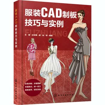 服装CAD制板技巧与实例 王健 等 编 书籍