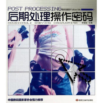 后期处理操作密码 李继强 编  书籍